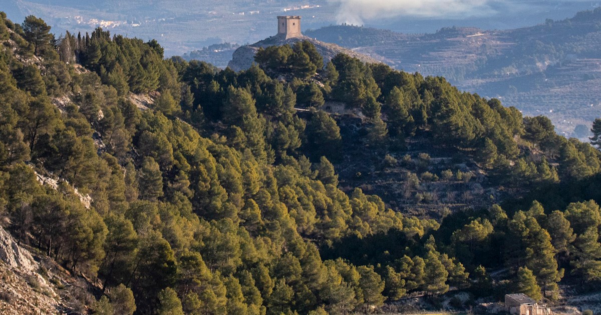 Eat Local in Cocentaina