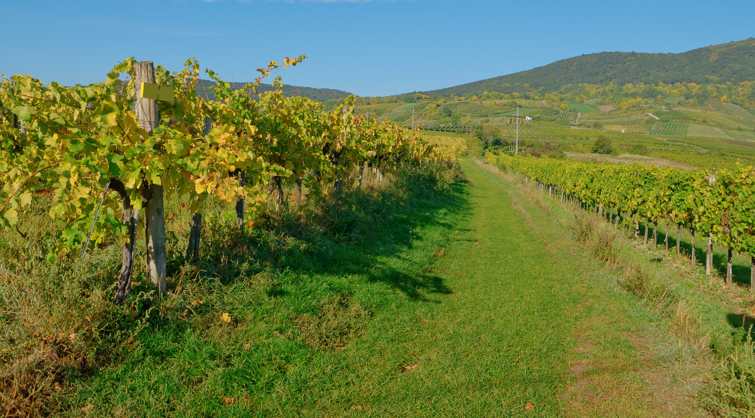 Food Map | TasteAtlas