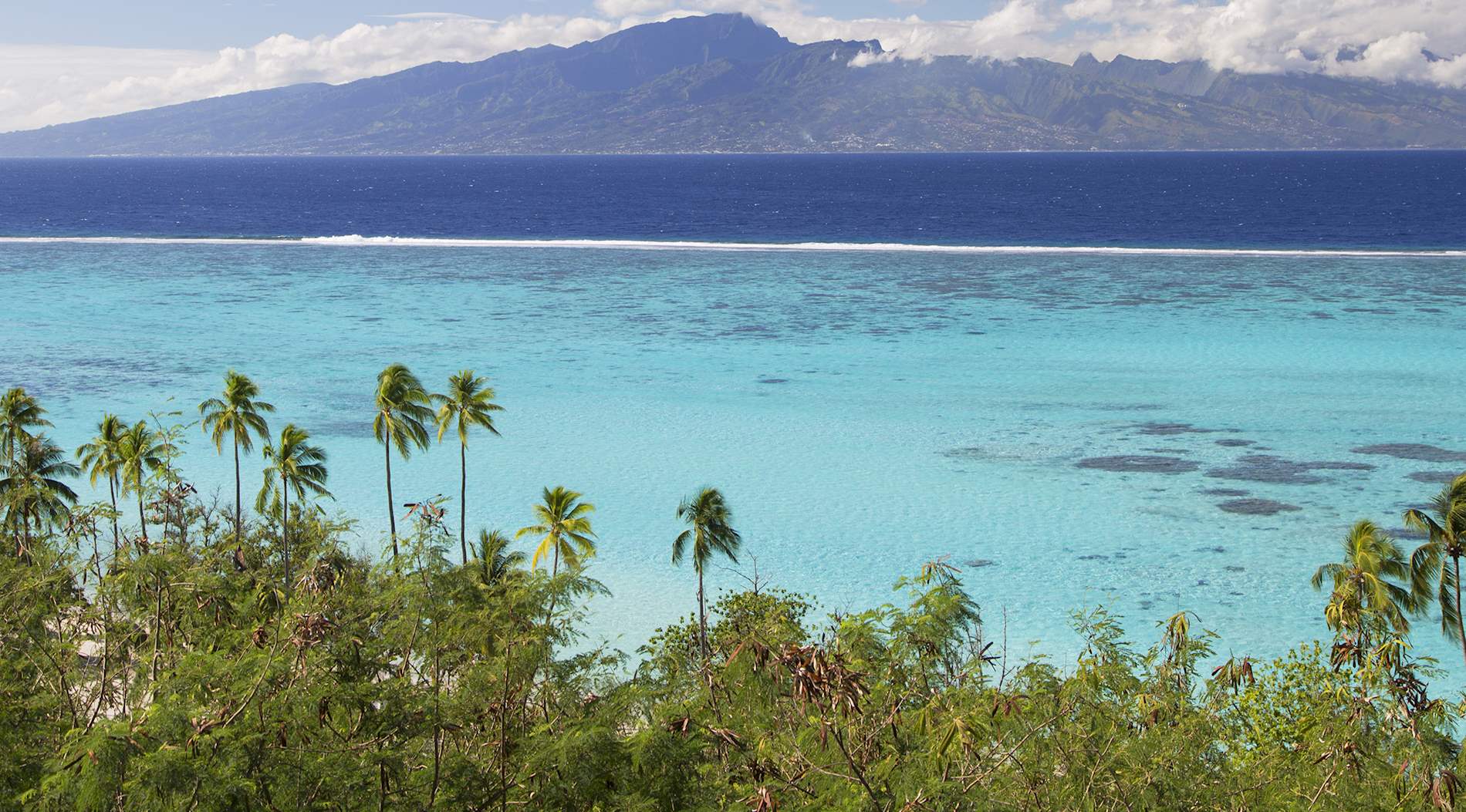 Eat Local in the Windward Islands