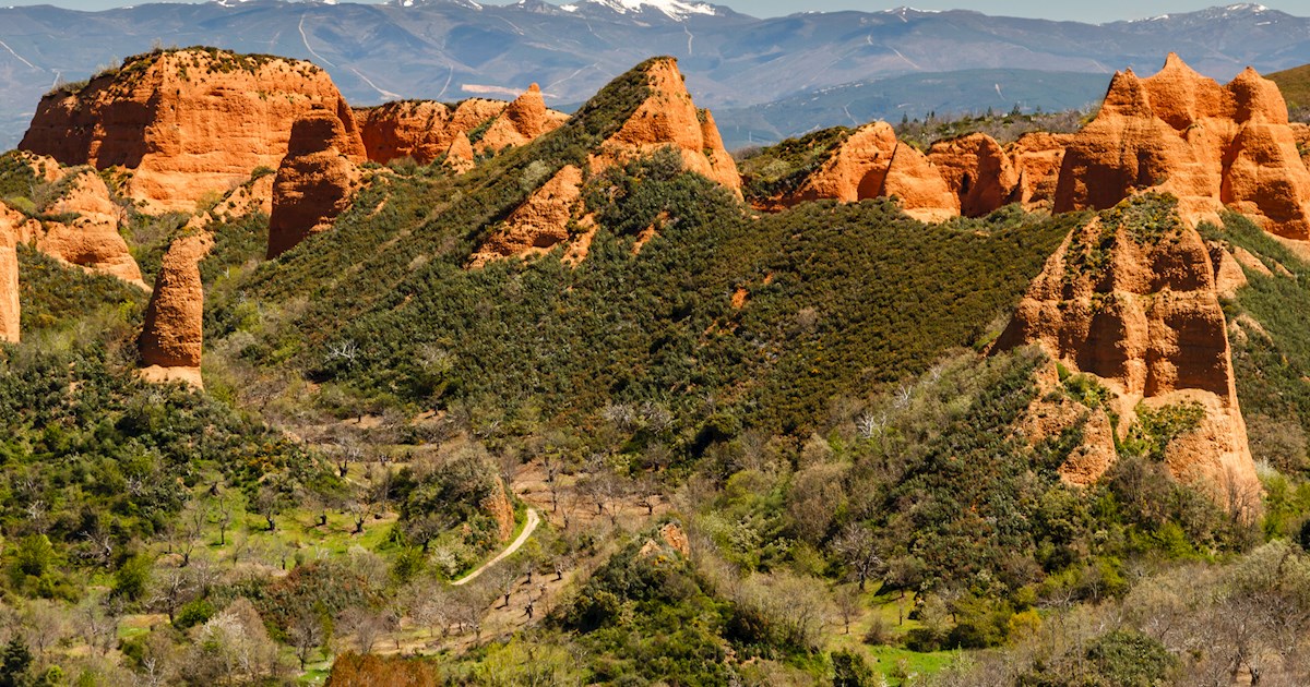 Eat Local in El Bierzo