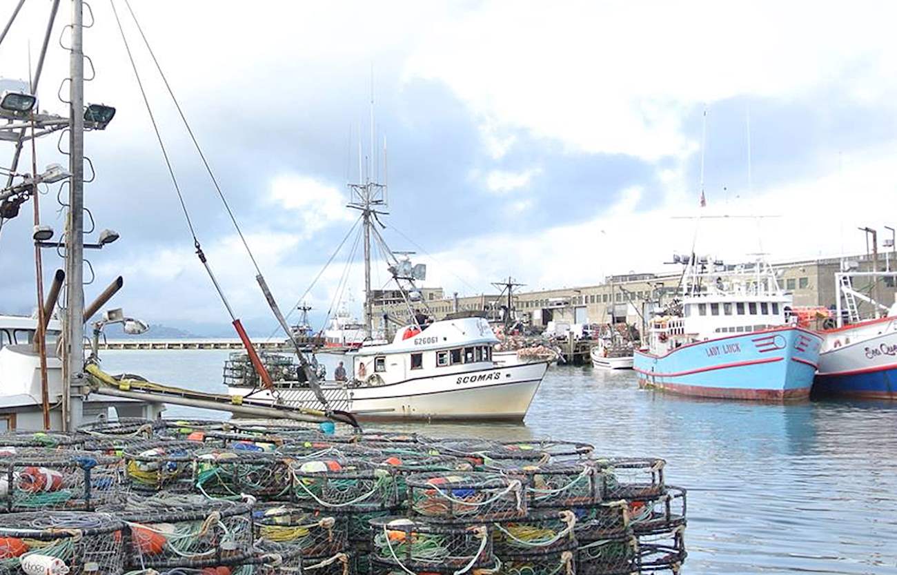 Scoma's | TasteAtlas | Recommended authentic restaurants