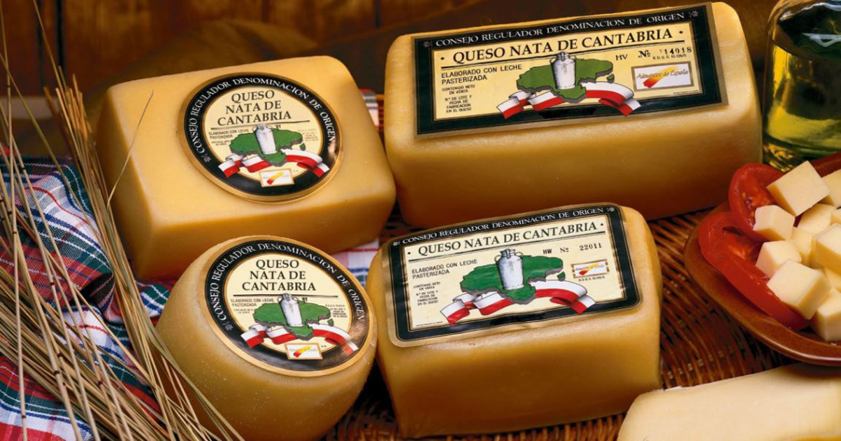 Queso Nata de Cantabria | Local Cheese From Cantabria, Spain | TasteAtlas