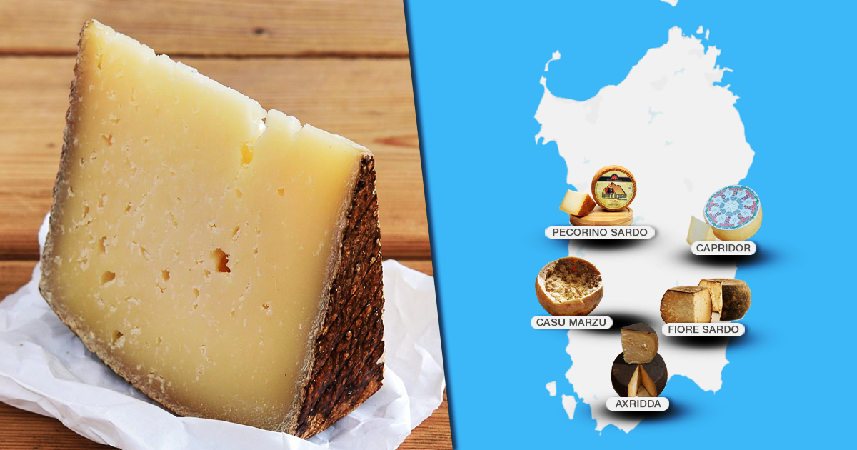 Sardinian Cheeses: 7 Cheese Types in Sardinia | TasteAtlas