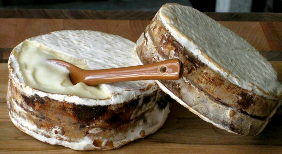 Harbison | Local Cheese From Greensboro, United States of America