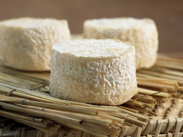 Chevre Cheese